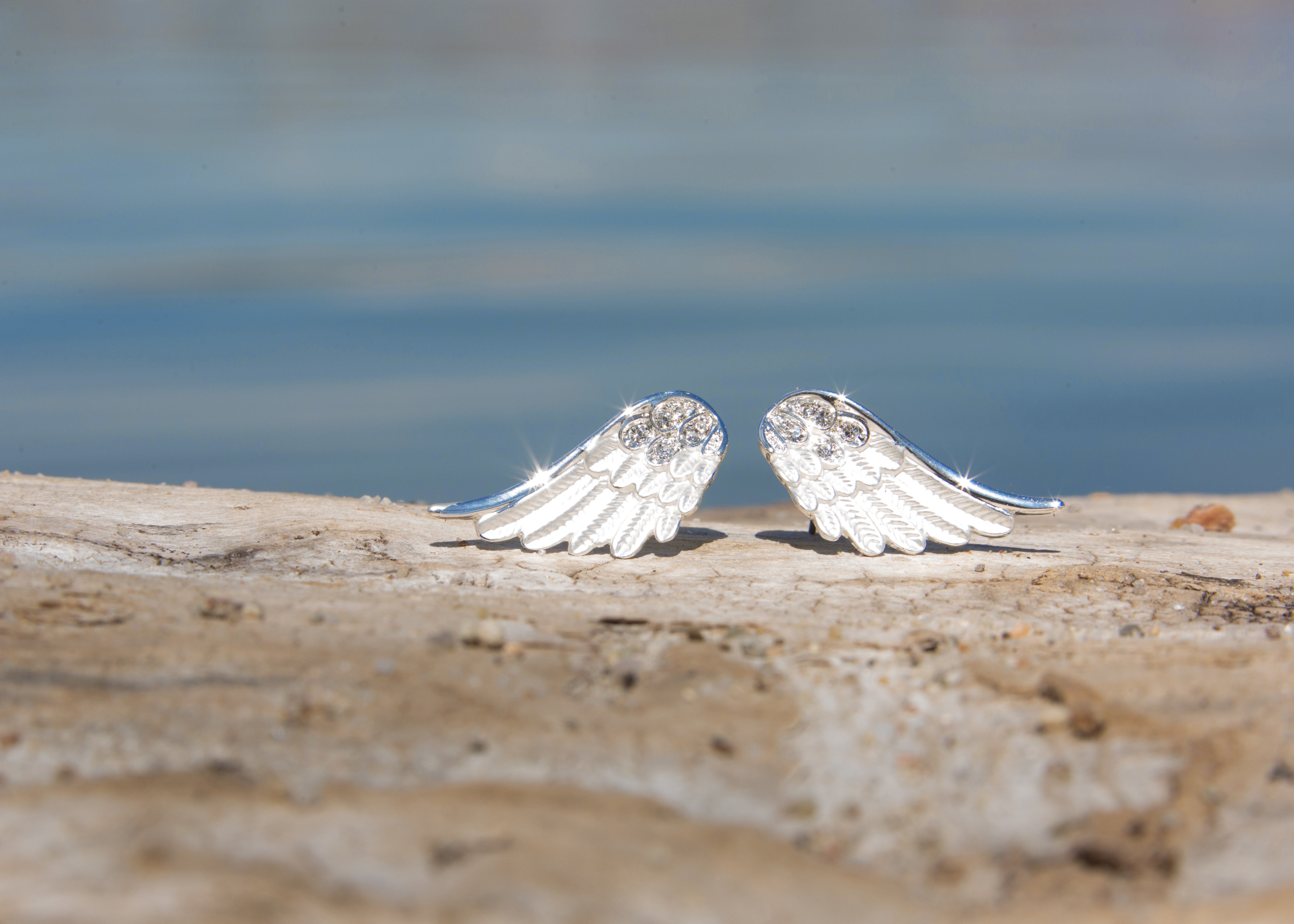 Wings – CarolYoungSilver